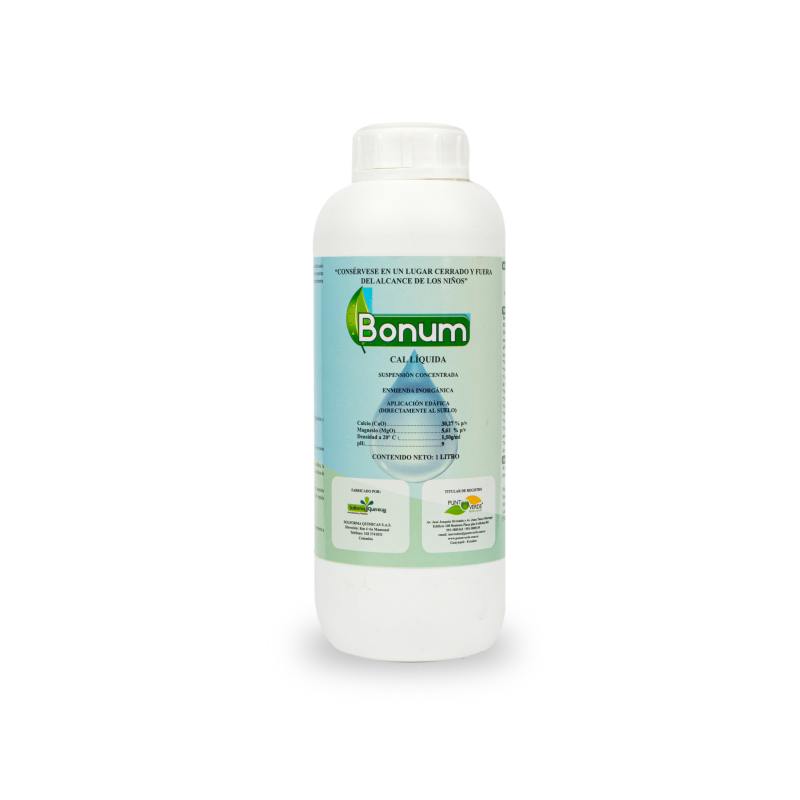 BONUM – Punto Verde