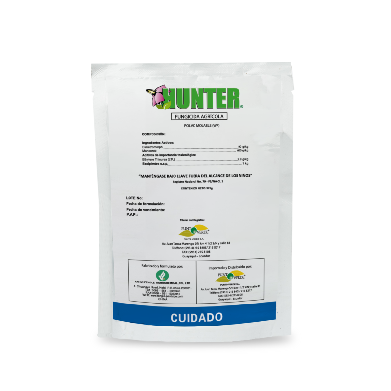 HUNTER – Punto Verde